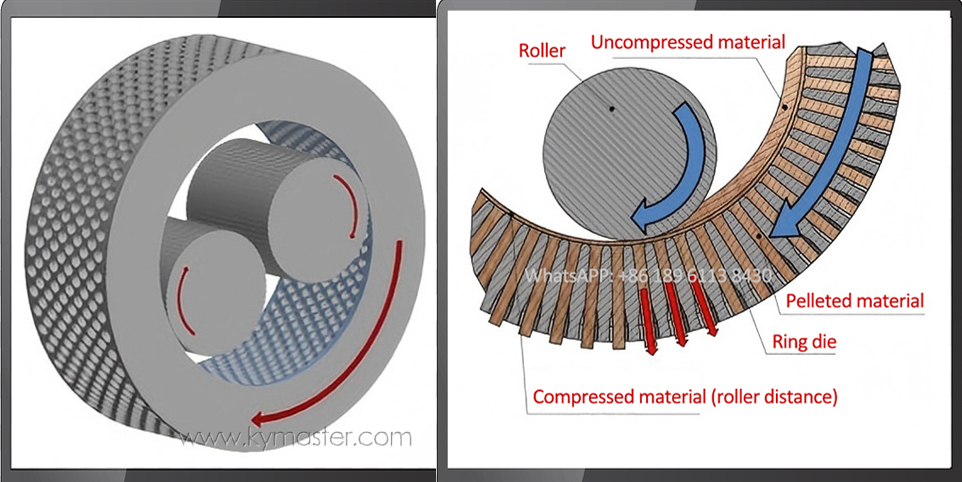 install ring die and roller 3